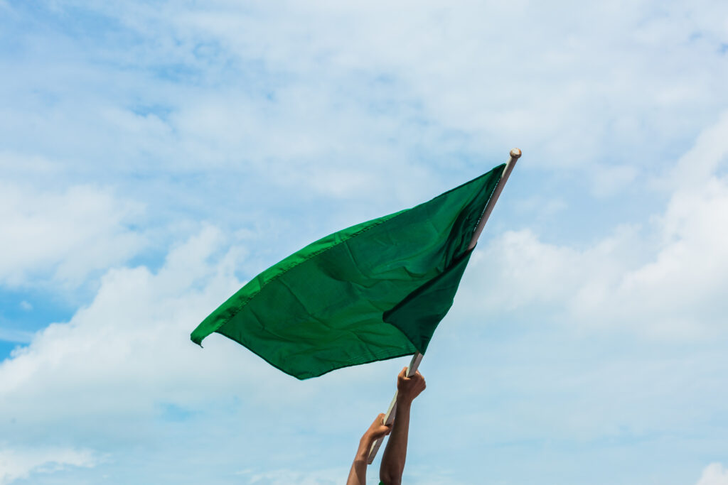 Green Flags of Leadership - Texas Lean Six Sigma